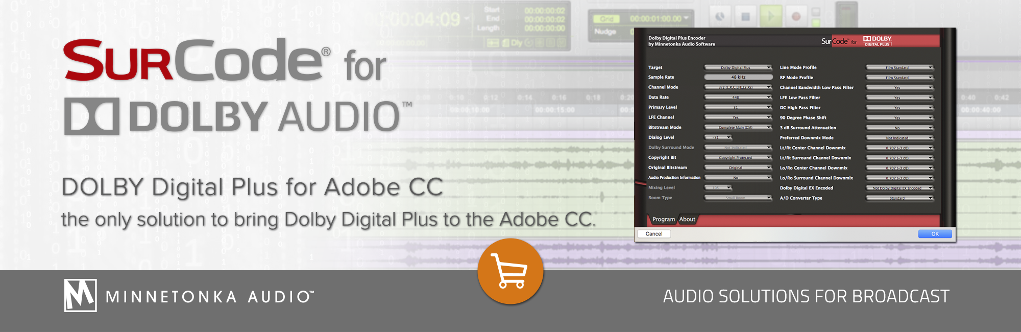 Broadcast Bionics | File based Audio Processing for TV
